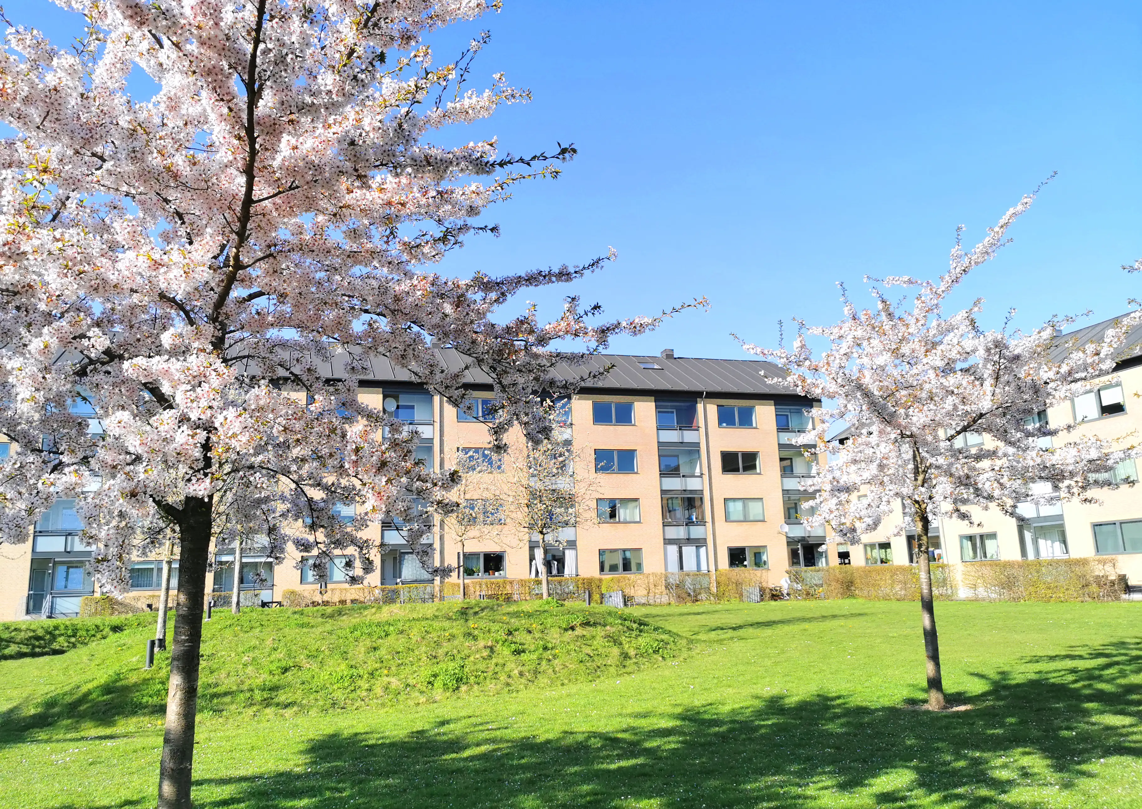 Effektivitetstal - Almen effektivitet